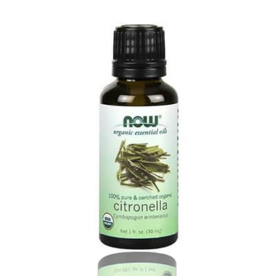 Now Citronella Oil 100% Pure NEW - 30ml | Pharmily